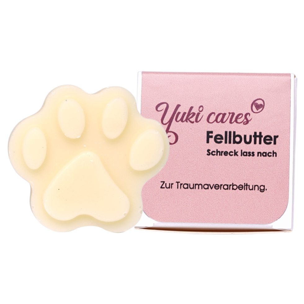 Mops mit Nase – die Zukunft für alle Mopsfans? – natürlich ...